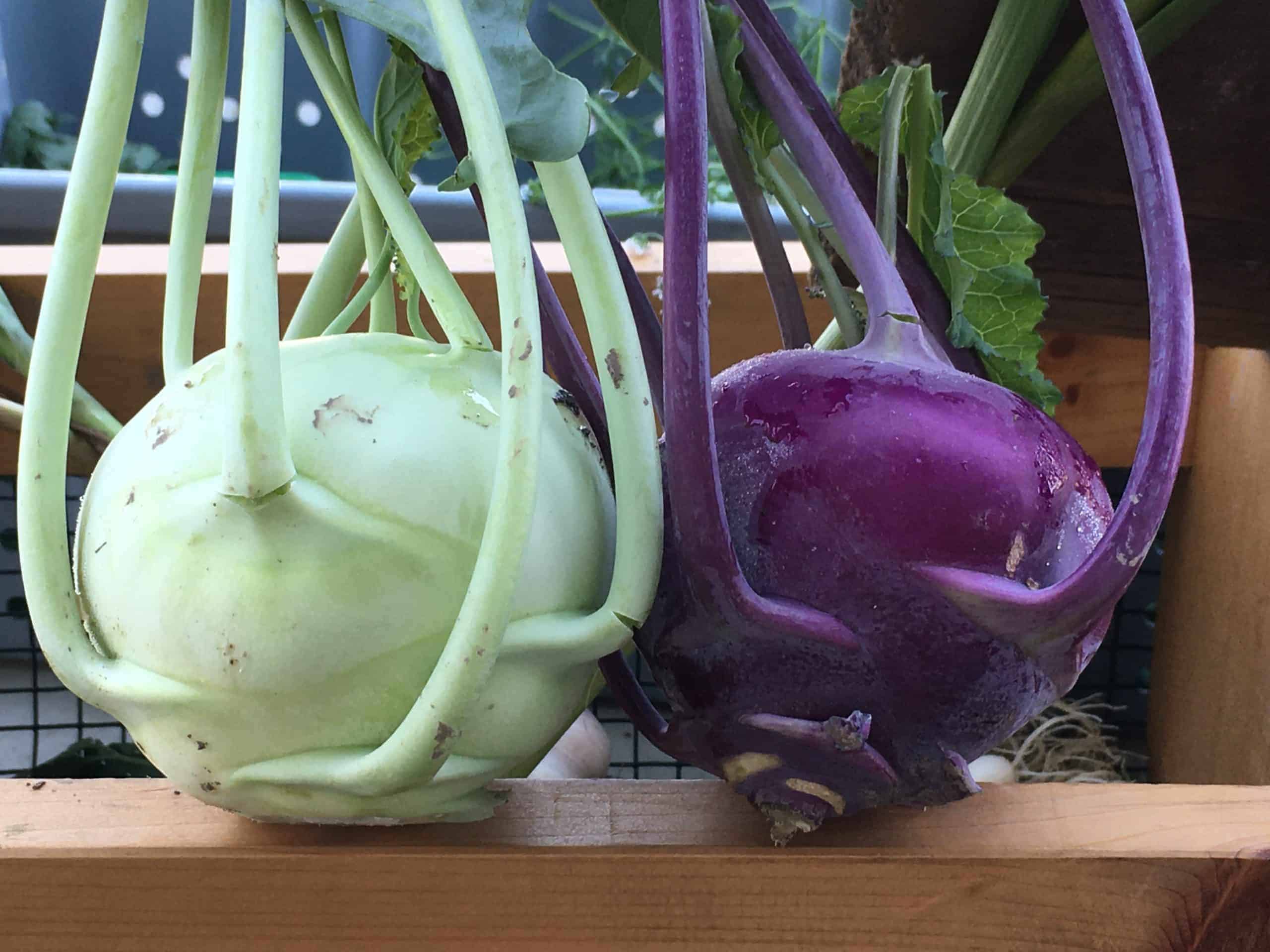 Shop for Organic Vegetables