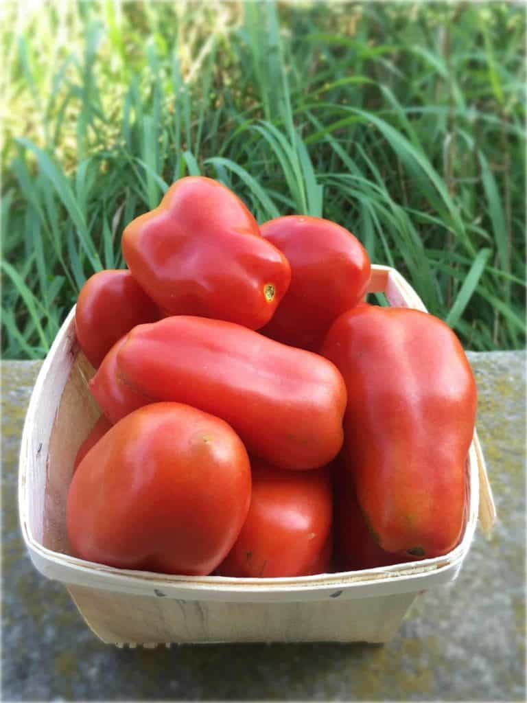 San Marzano Tomatoes (quart) - Knuckle Down Farm
