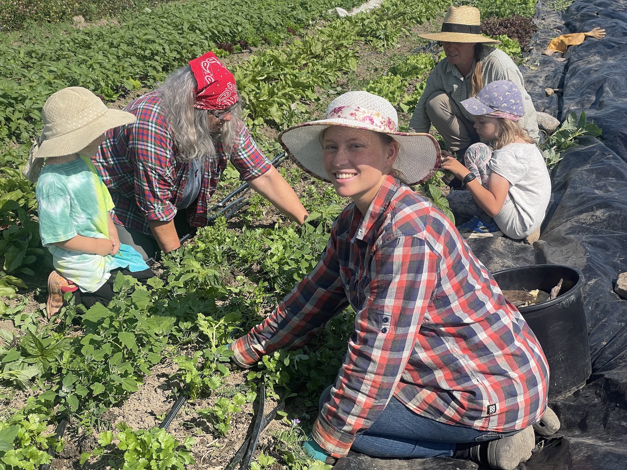 Many Hands - Knuckle Down Farm