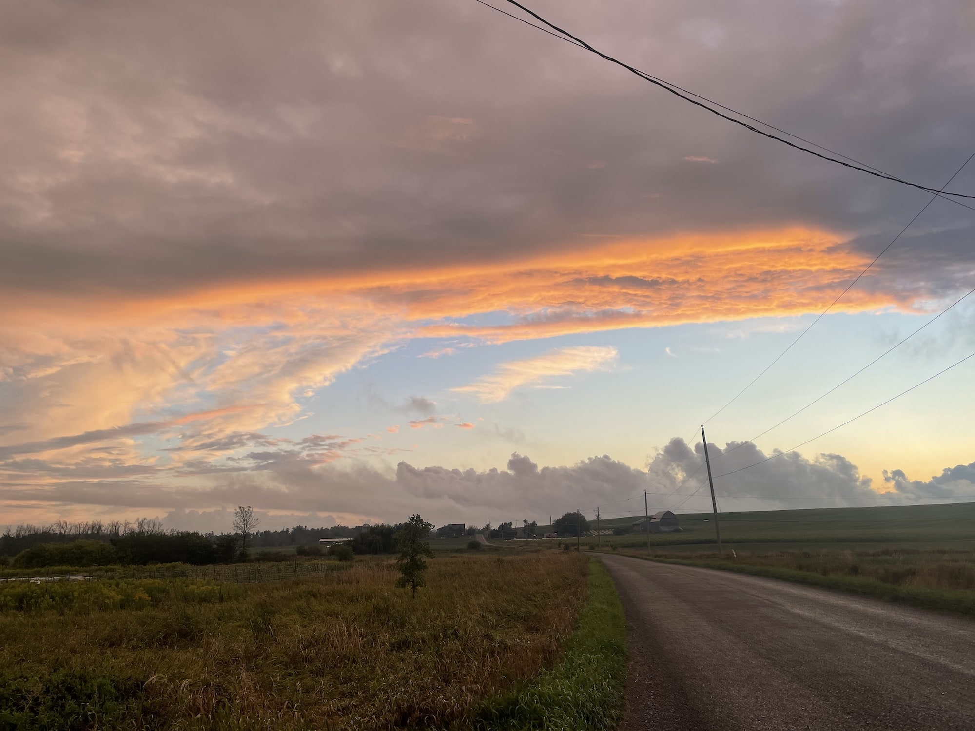 Knuckle Down Transmission - Knuckle Down Farm